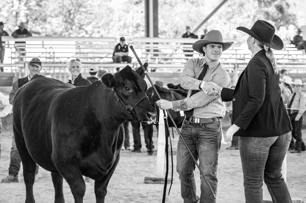 Our Story — Upper Hunter Beef Bonanza