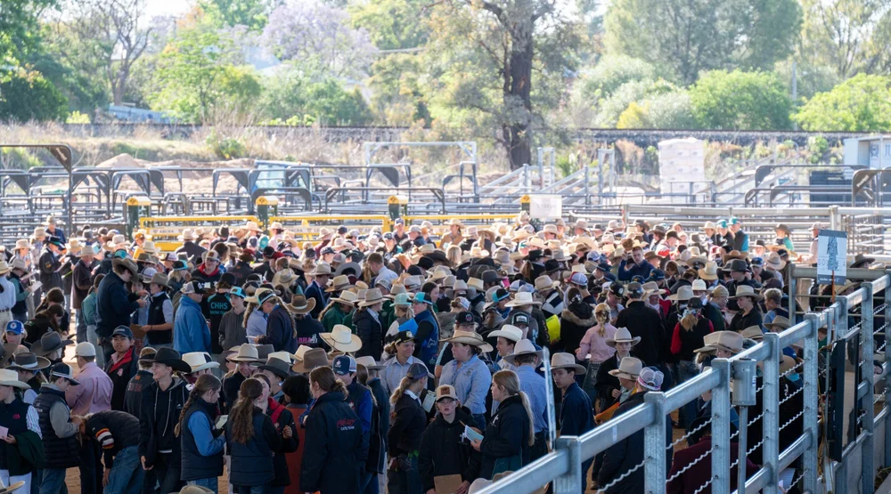 2025 Information — Upper Hunter Beef Bonanza