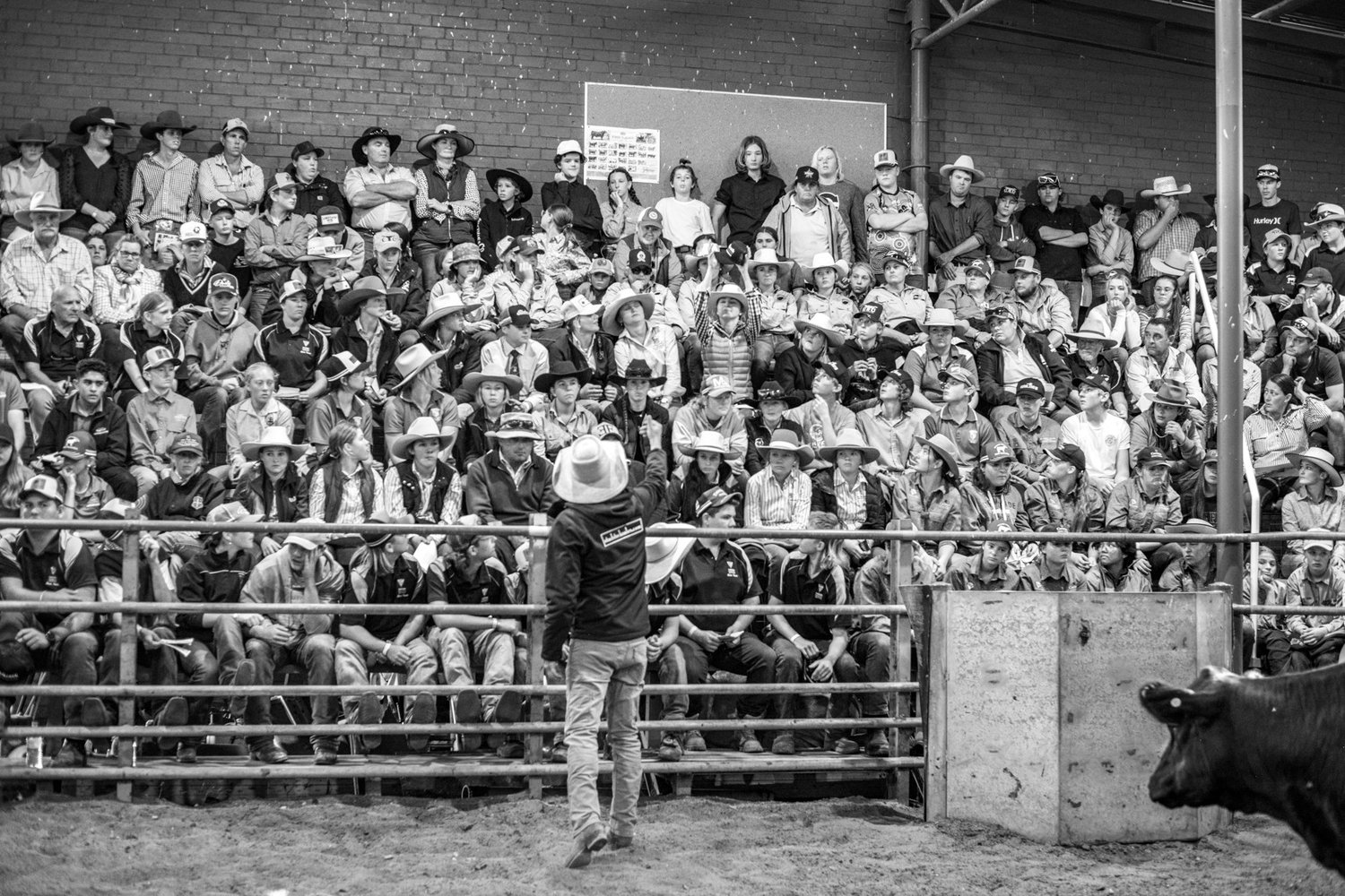 Our Story — Upper Hunter Beef Bonanza