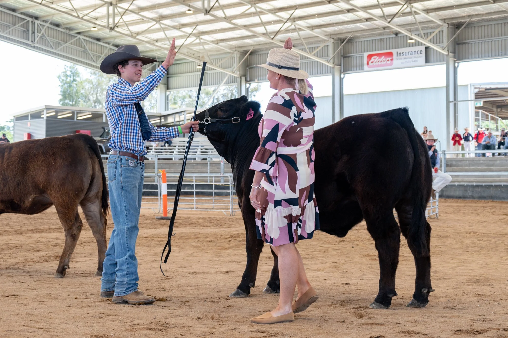 2024 Classes & Results — Upper Hunter Beef Bonanza
