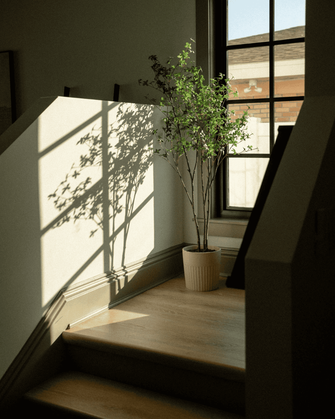 Nicoia | How to Shape a Floor Plan that Truly Works