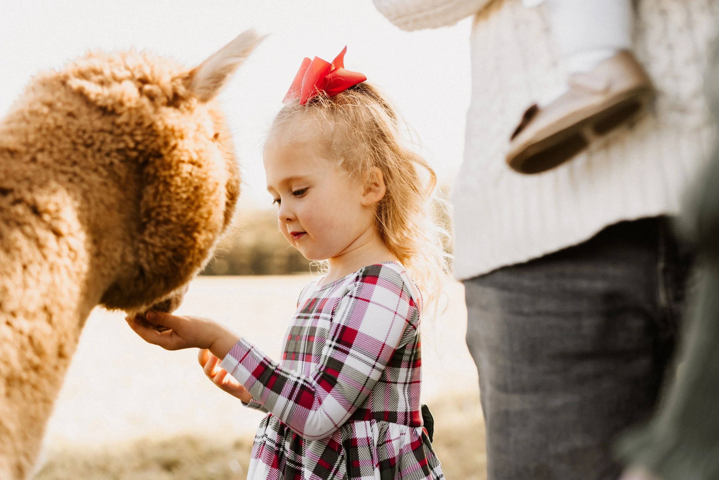 Coleman Valley Alpaca Farm