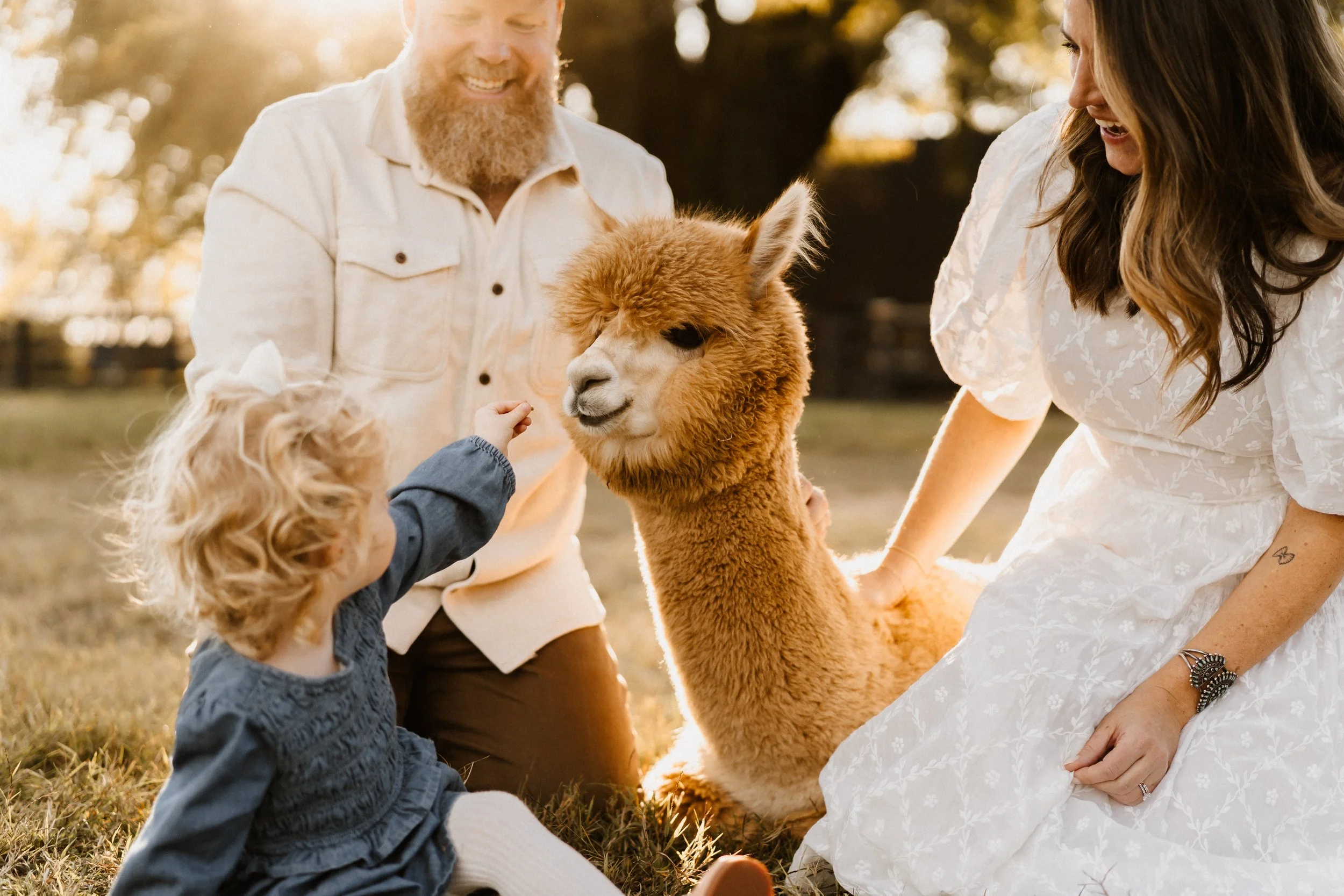 Coleman Valley Alpaca Farm | Unleash Alpaca Magic