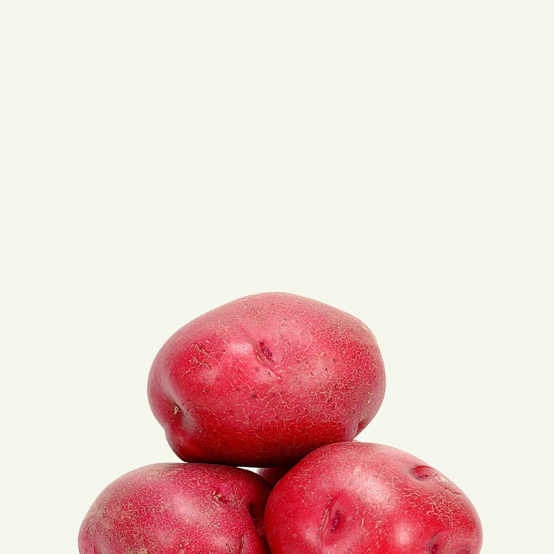 Home — Activate Food Arizona