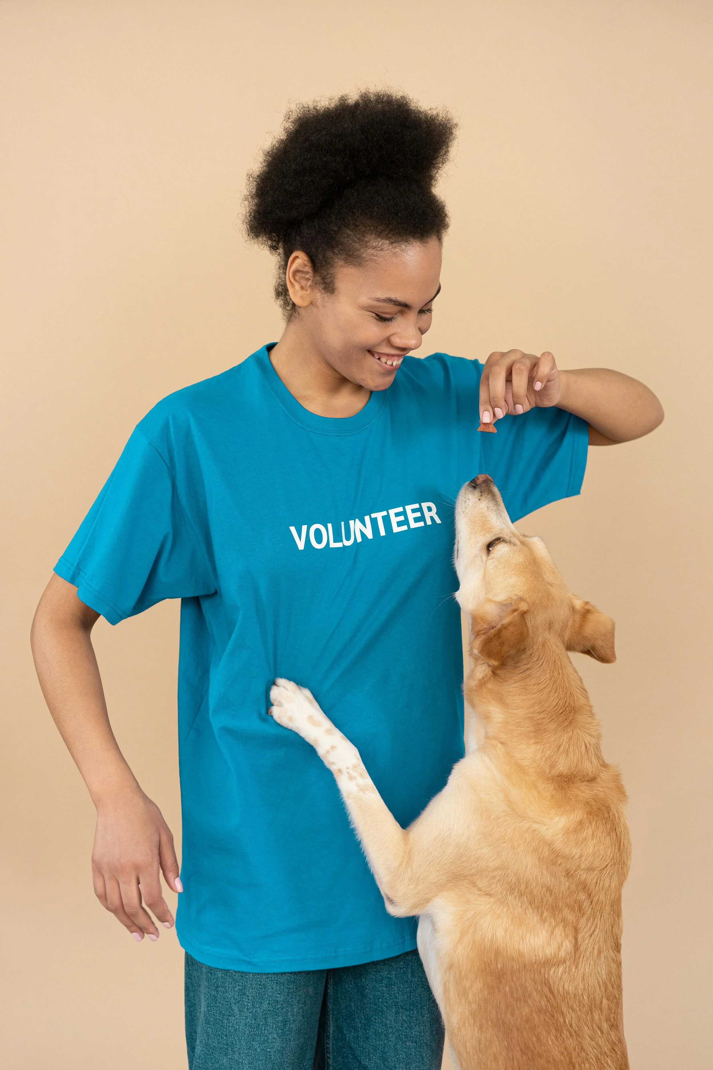 Save-A-Pet USA