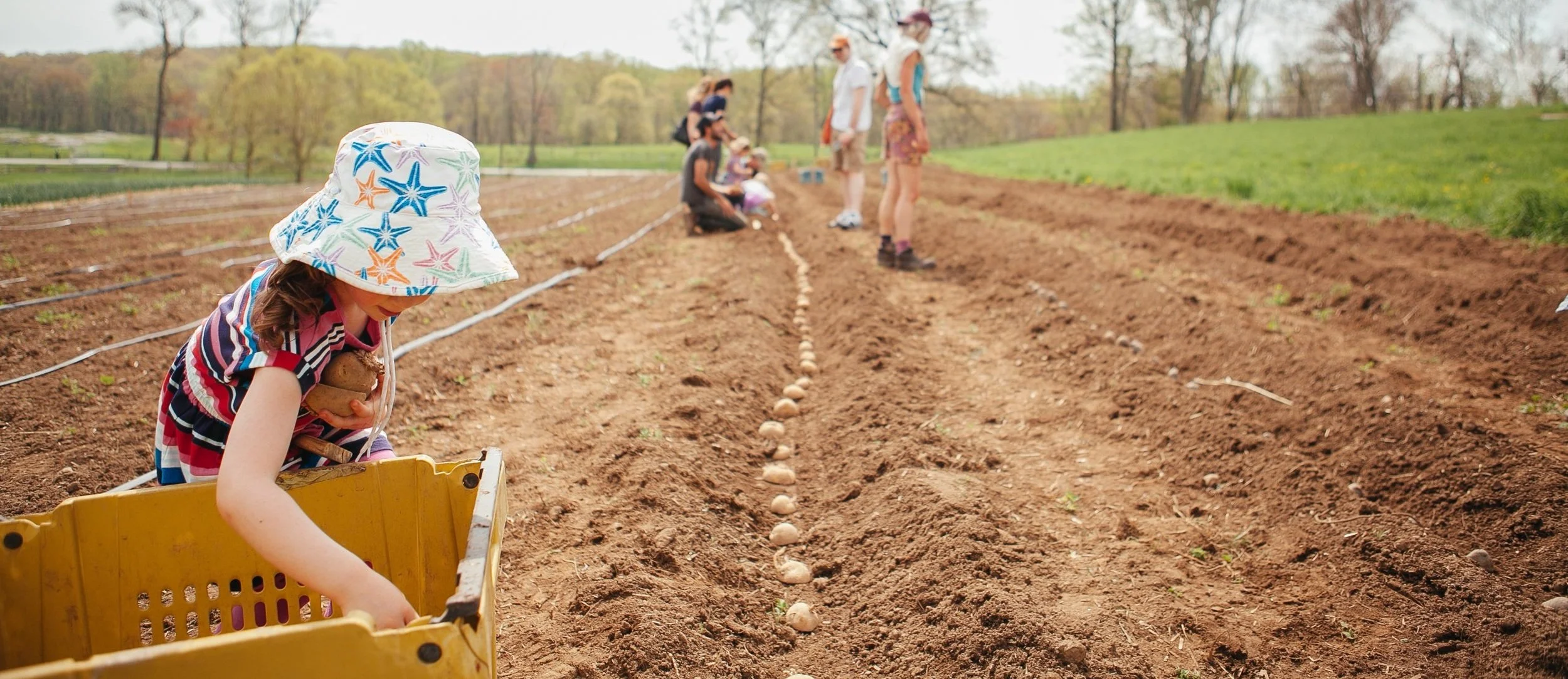 For Families — Stone Barns Center for Food & Agriculture