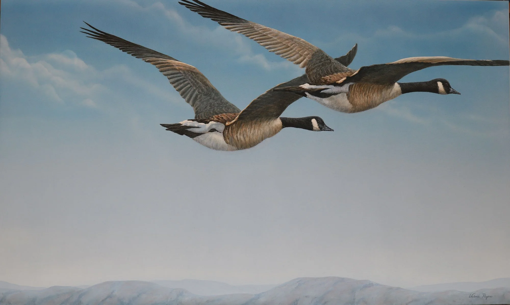 Artist Nature Wildlife Portfolio of Valerie Rogers — Valerie Rogers ...