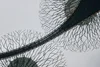 Biomimicry in Architecture: Nature-Inspired Solutions for Sustainable ...