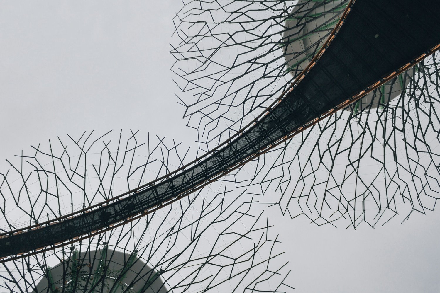 Biomimicry in Architecture: Nature-Inspired Solutions for Sustainable ...