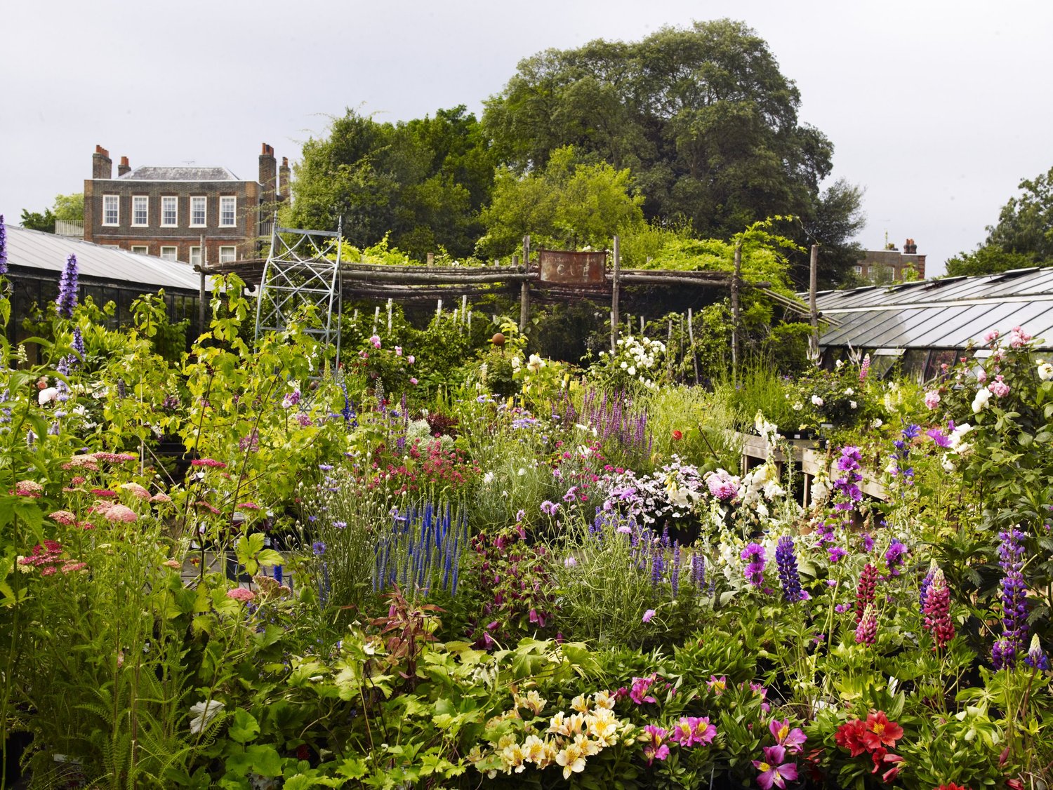 Petersham Nurseries Richmond: A Serene Summer Escape of Nature, Dining ...