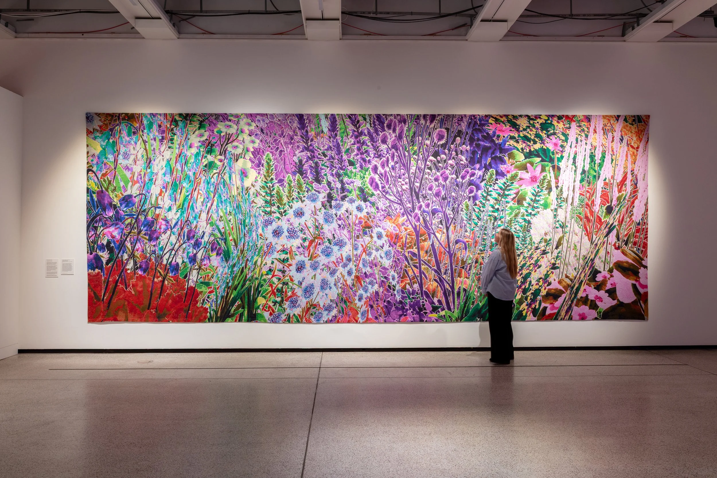 More than Human Exhibition at the Design Museum: Exploring More-Than ...