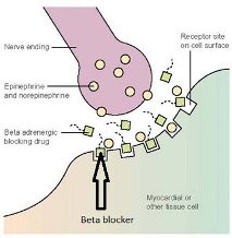 Social Anxiety Disorder treatment - performance anxiety therapy ...