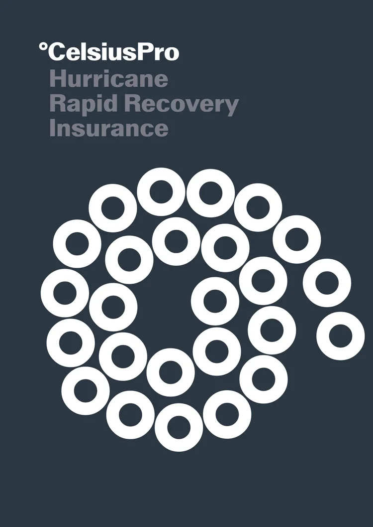 What we do — CelsiusPro