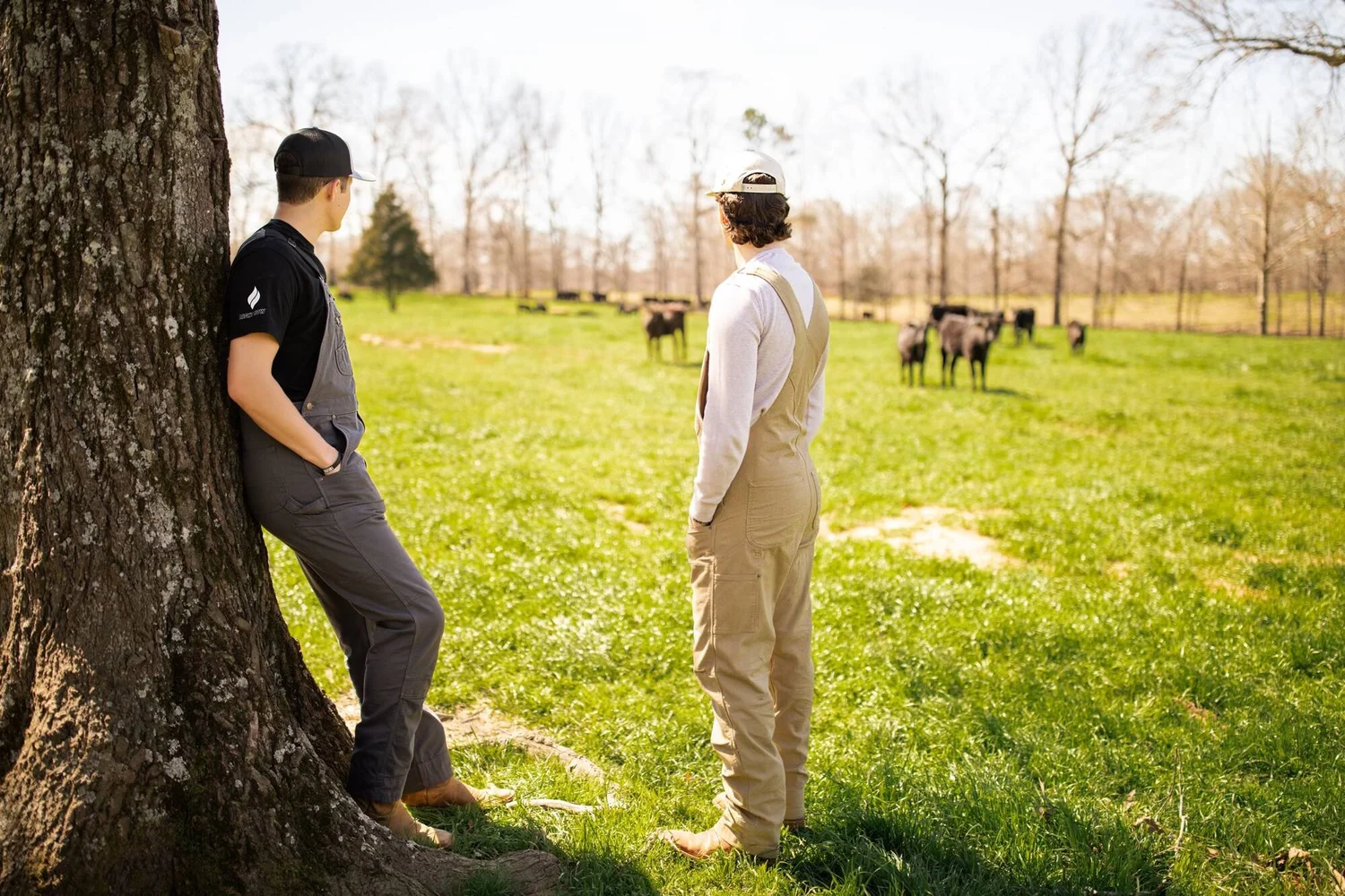 Our Story — Mississippi Beef Bros