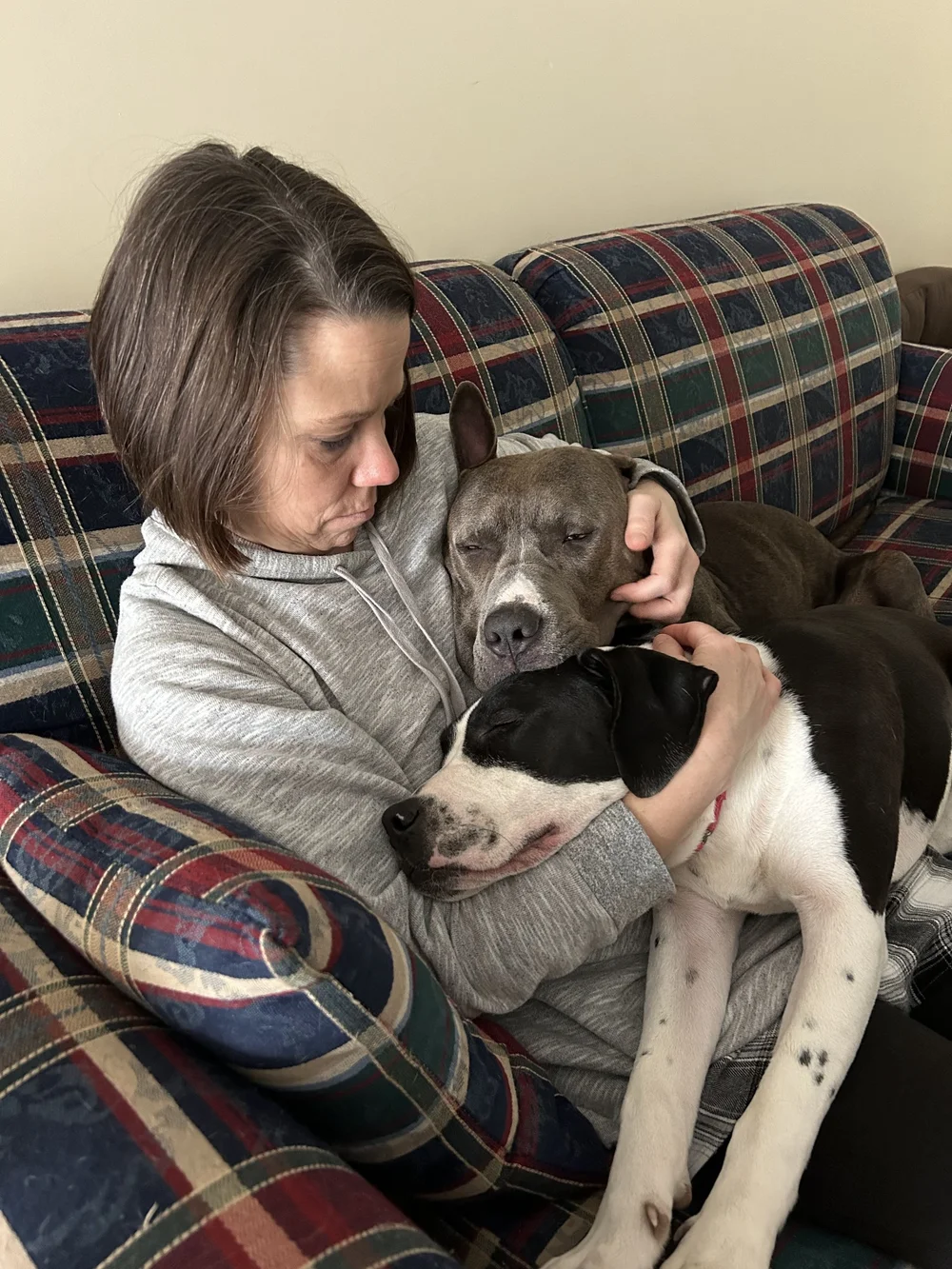 Rea Family Animal Shelter