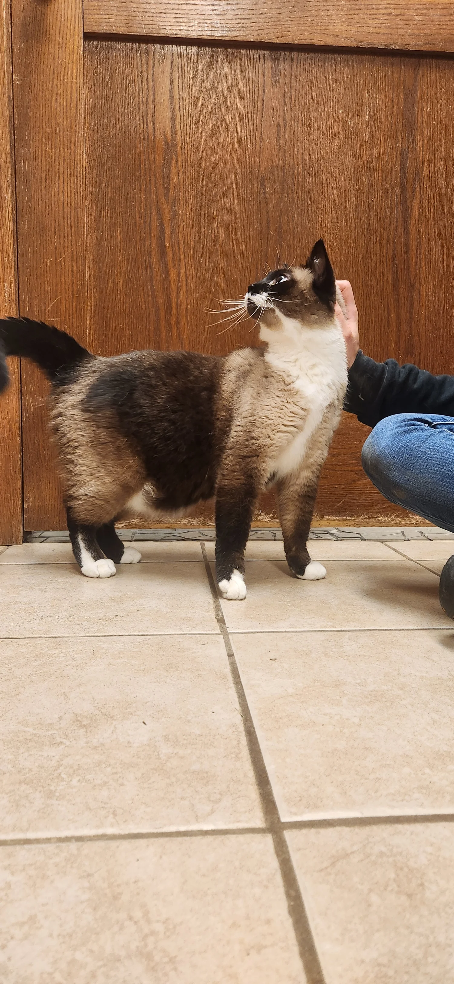 Giving Page 1 — Rea Family Animal Shelter