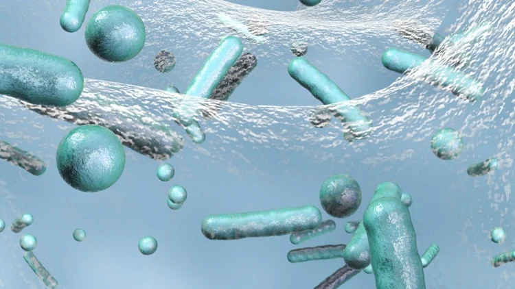 Managing Legionella Risk in Residential Properties — 4site Consulting Ltd