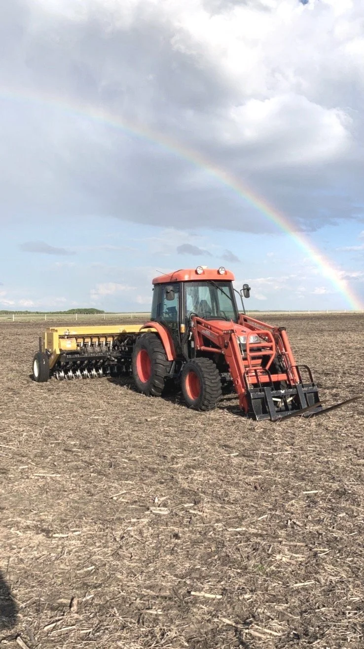 Skinner Native Seeds | Native Seed for the Canadian Prairies