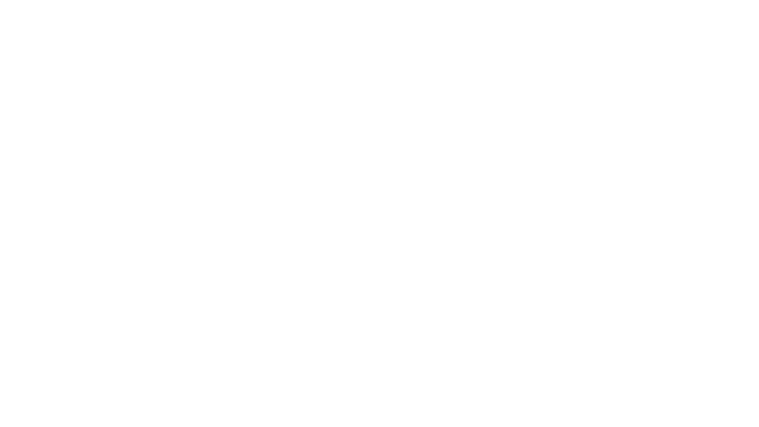 Daria Devlin for Mayor