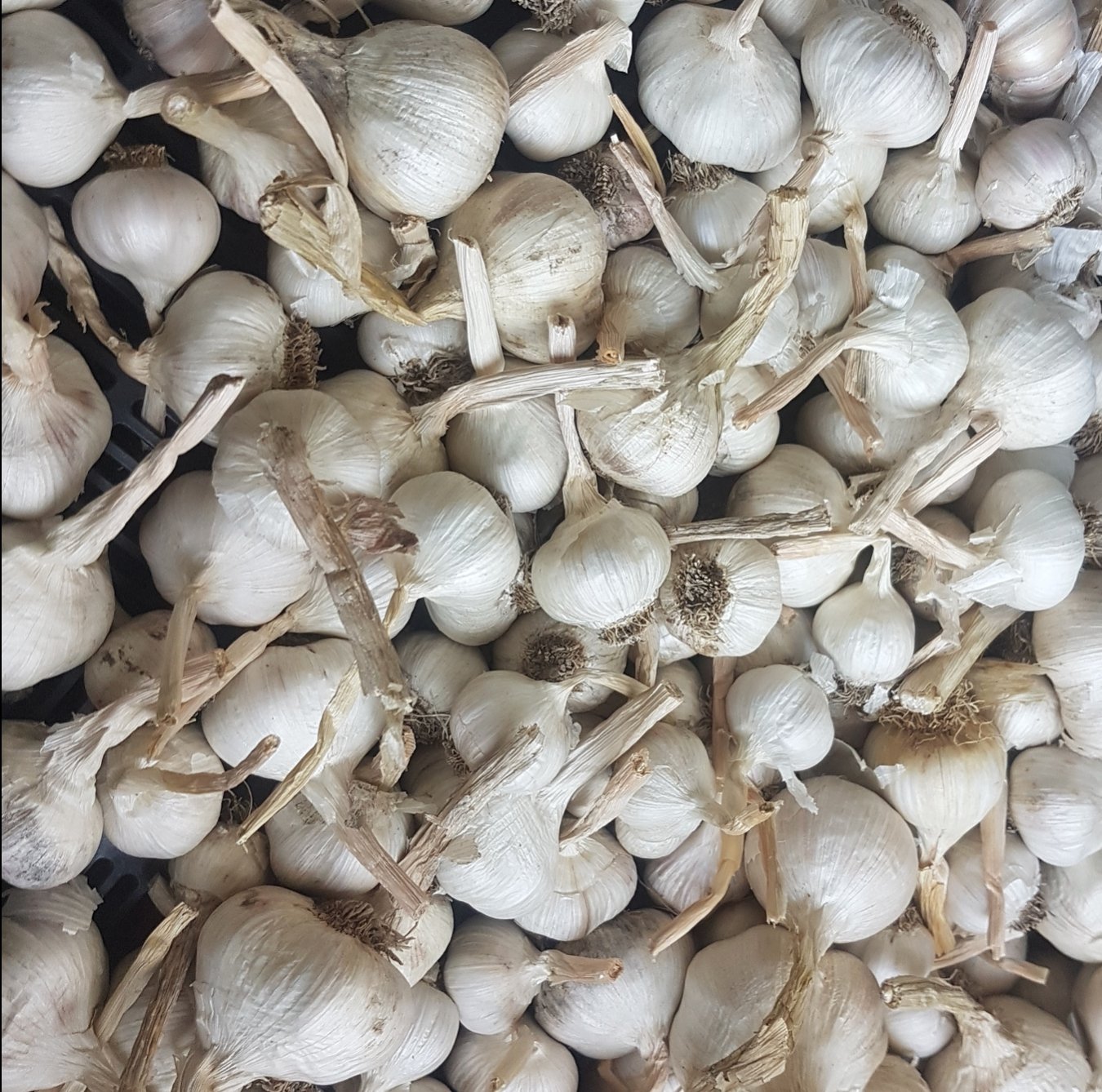 Cold Spring Farmers' Market