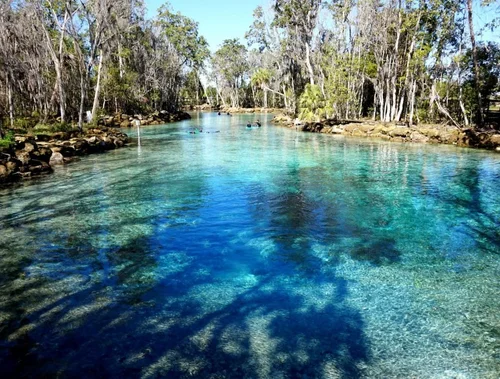 Local Area — Inshore Pursuit Charters | Crystal River, FL.