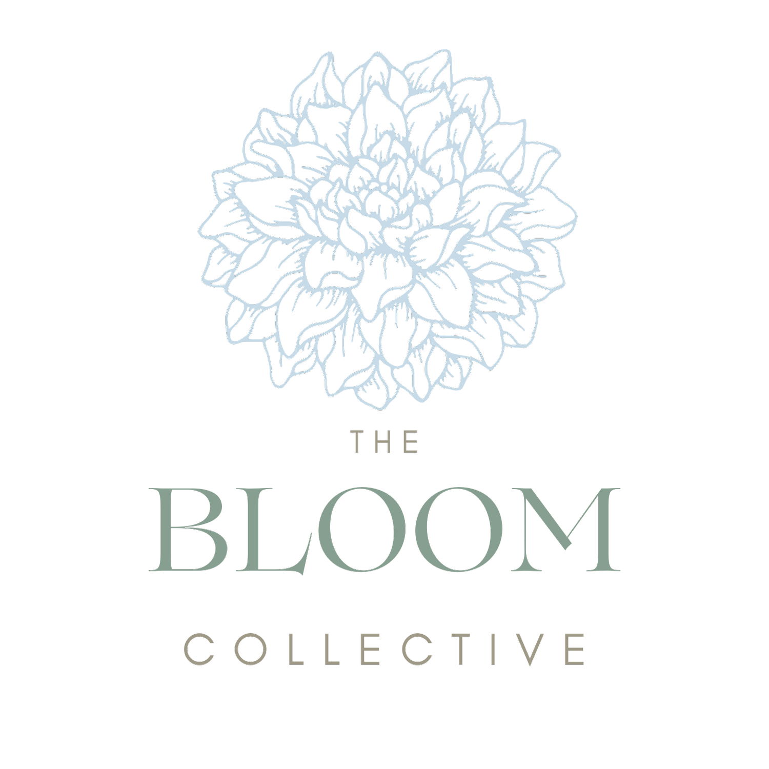 Best Places to See Live Music in Charleston, SC - 2025 Guide — The Bloom Collective