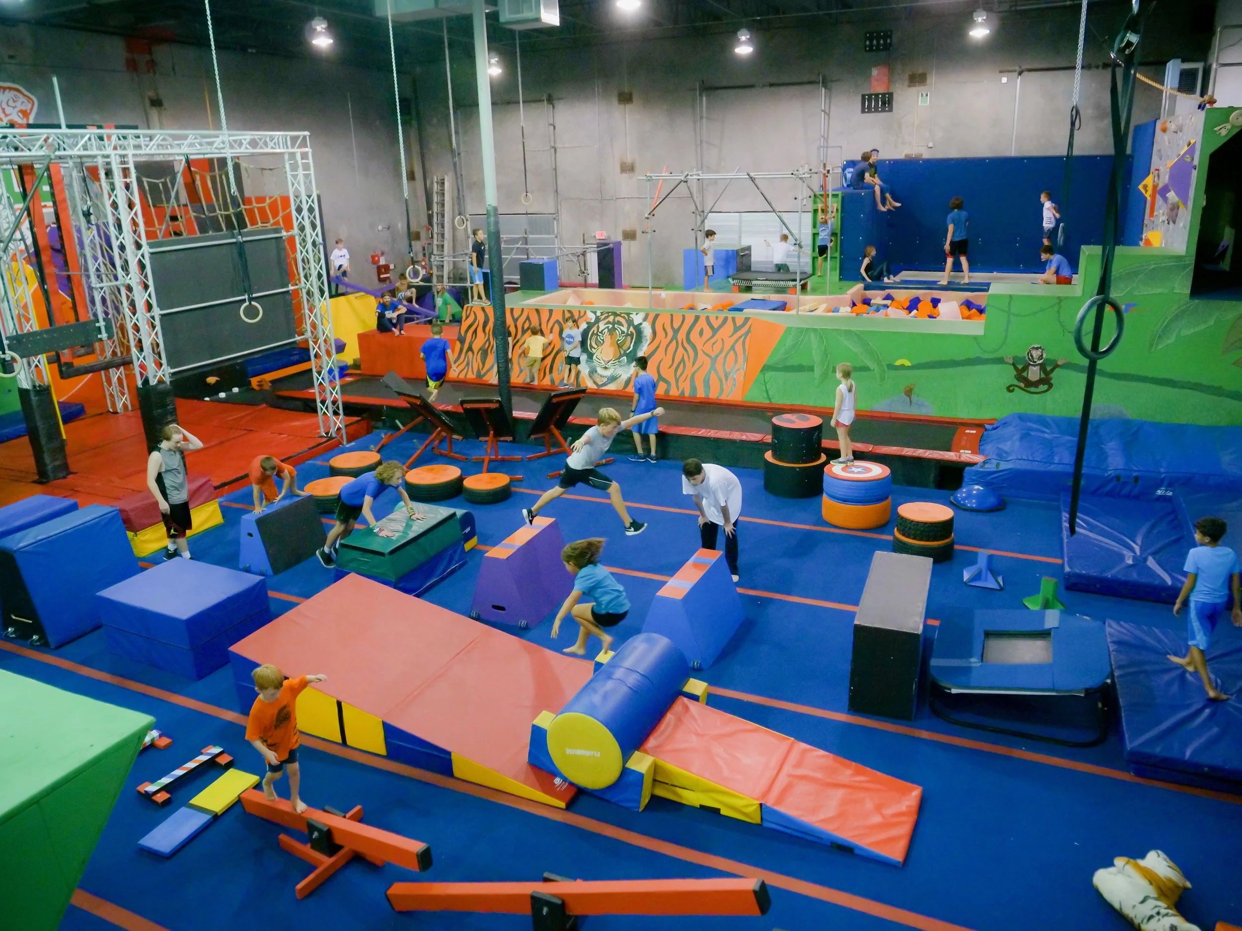 The Jungle Movement Academy