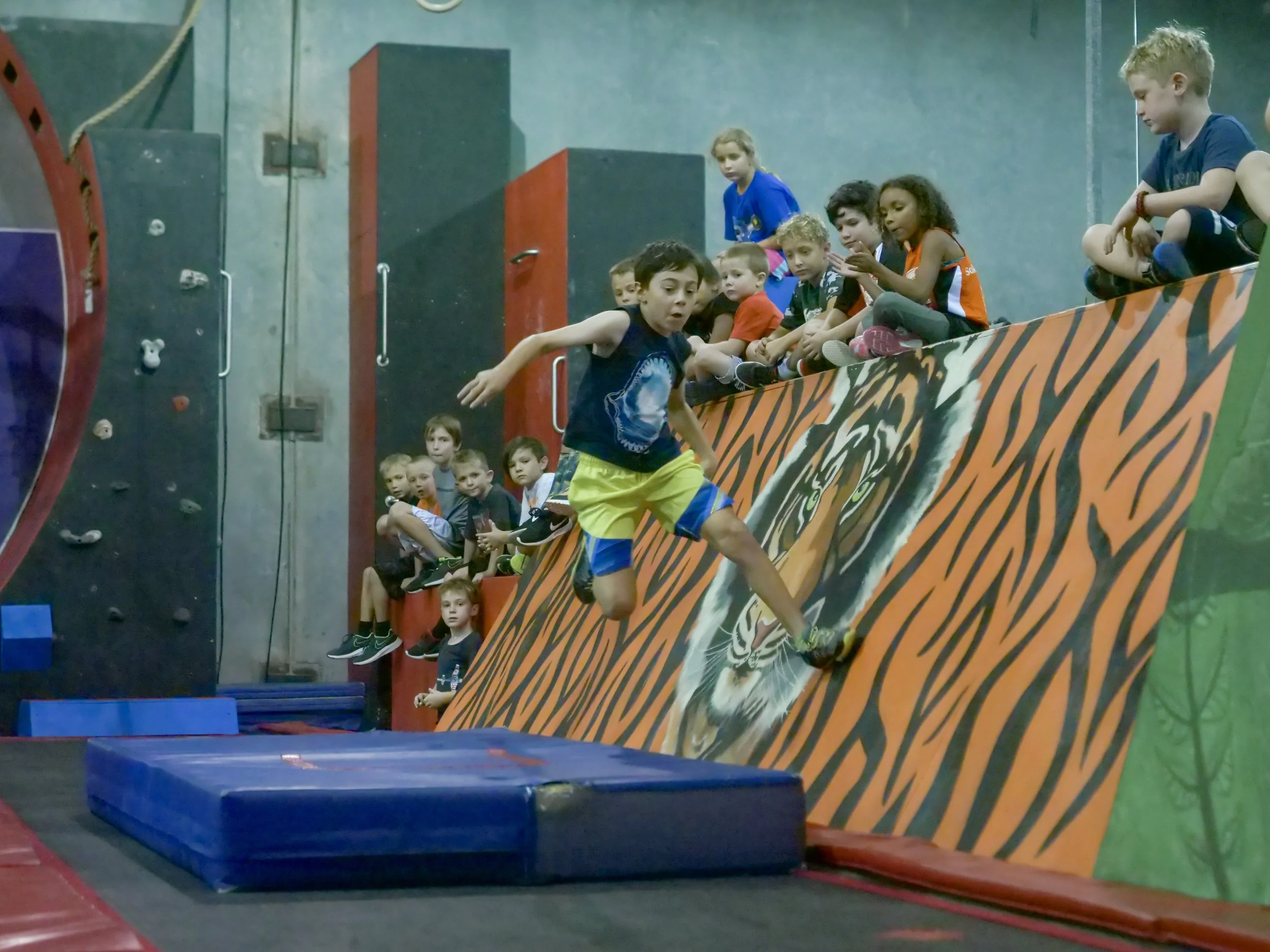 The Jungle Movement Academy