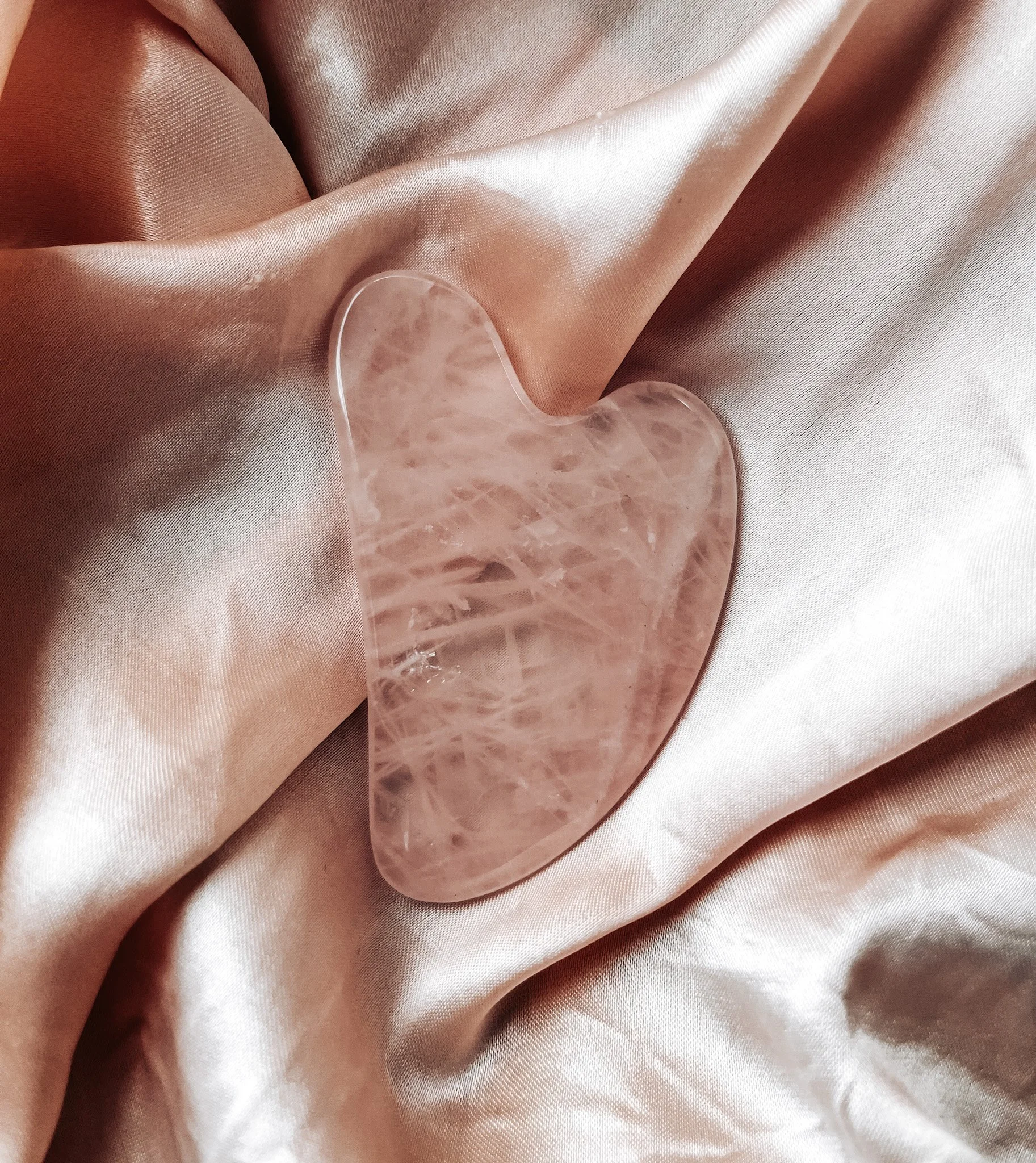 About us — Petal Studios