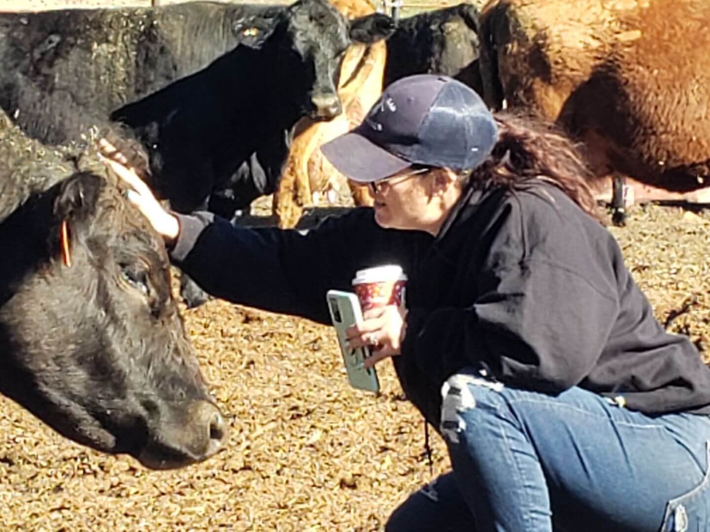 Sustainable, Ethical Farming & Free-Range Beef in Kelowna Since 2013 ...