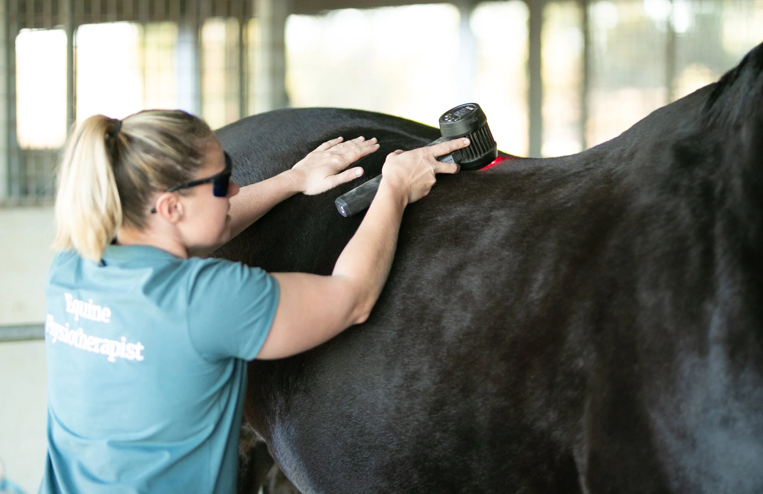 About Us | Expert Equine Physiotherapy at Thrive Equine Physio — Thrive ...