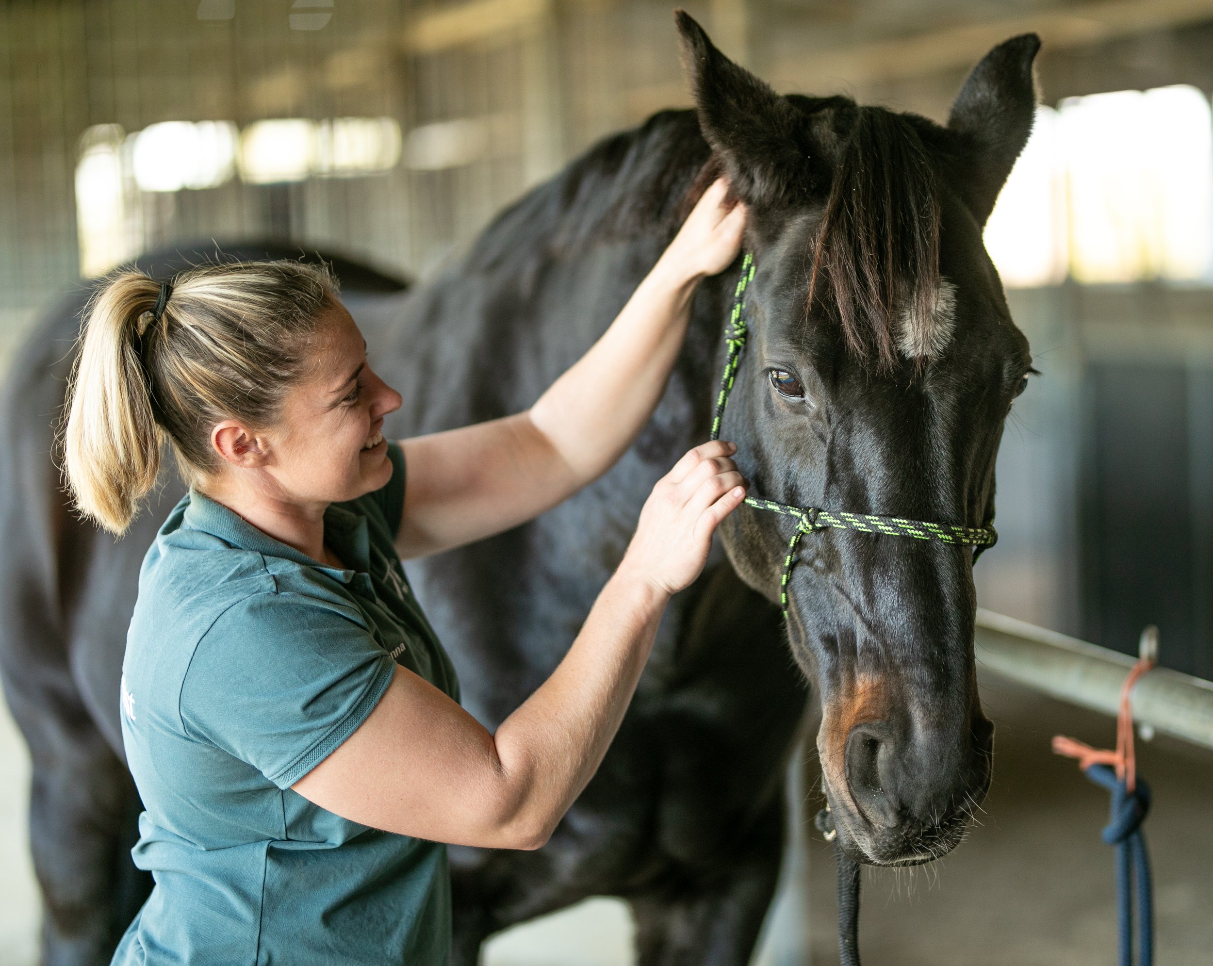Staycation for Your Horse: Why In-House Rehabilitation Beats At-Home ...