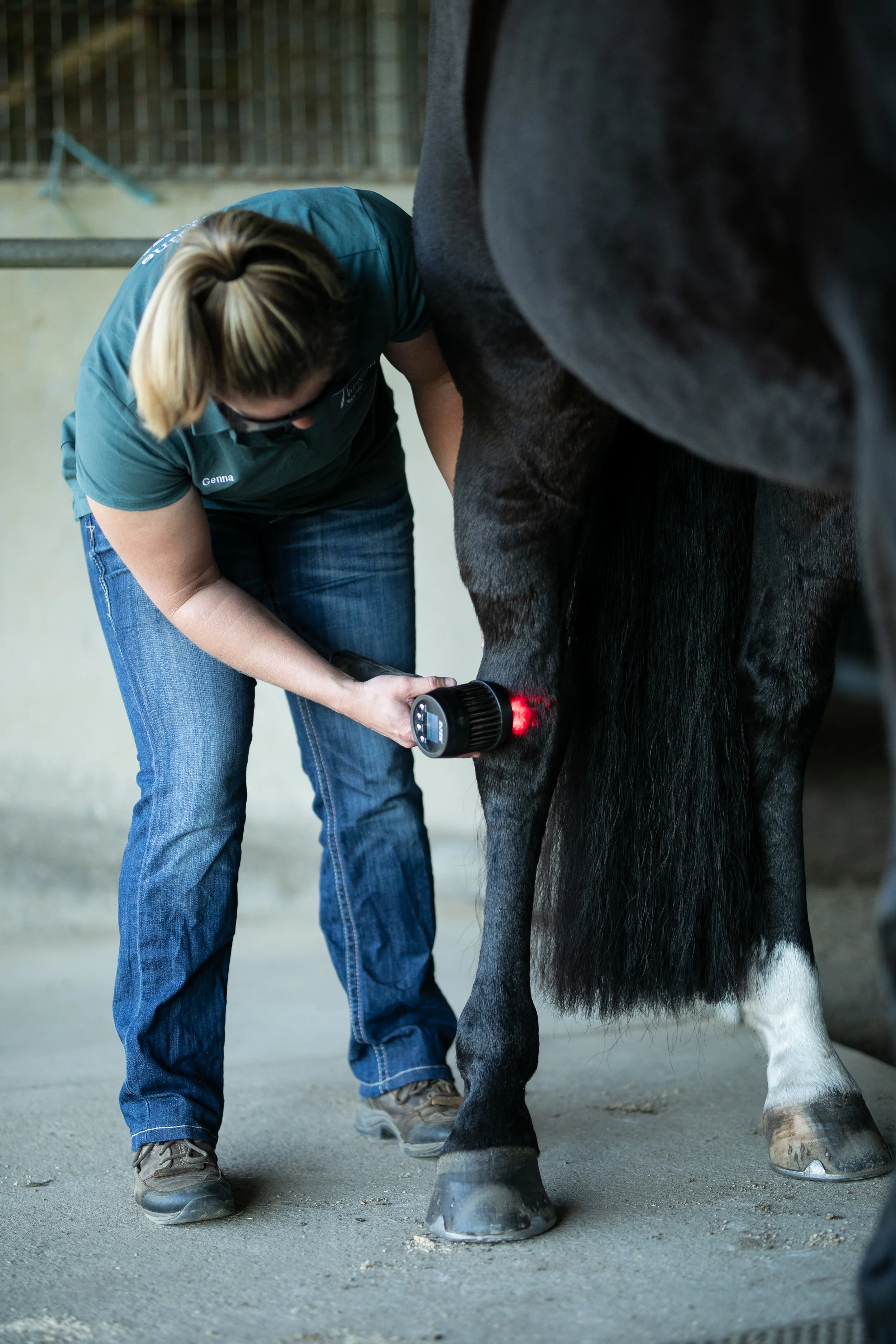 Managing Arthritis in Senior Horses: Effective Strategies for Pain ...