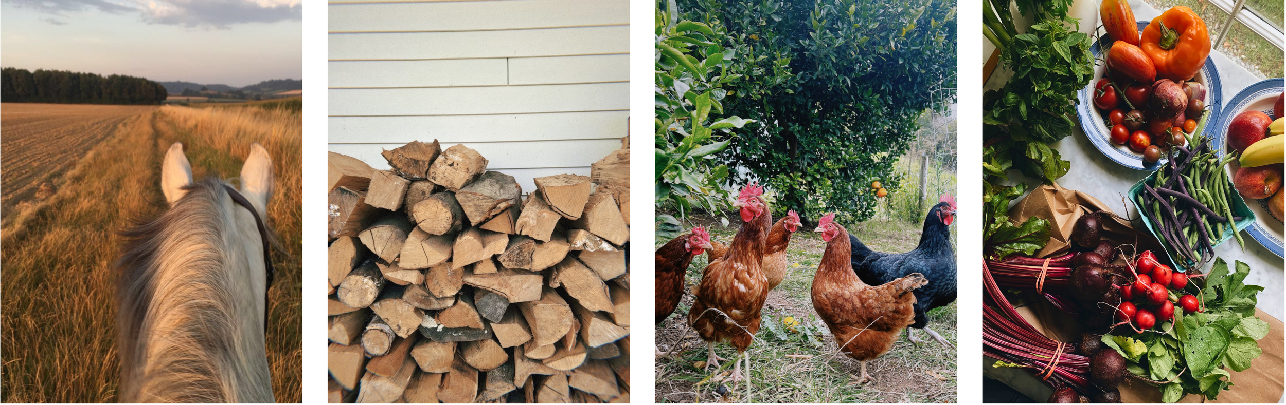 Acreage and Rural Home Design — Creating Homes That Belong to the ...