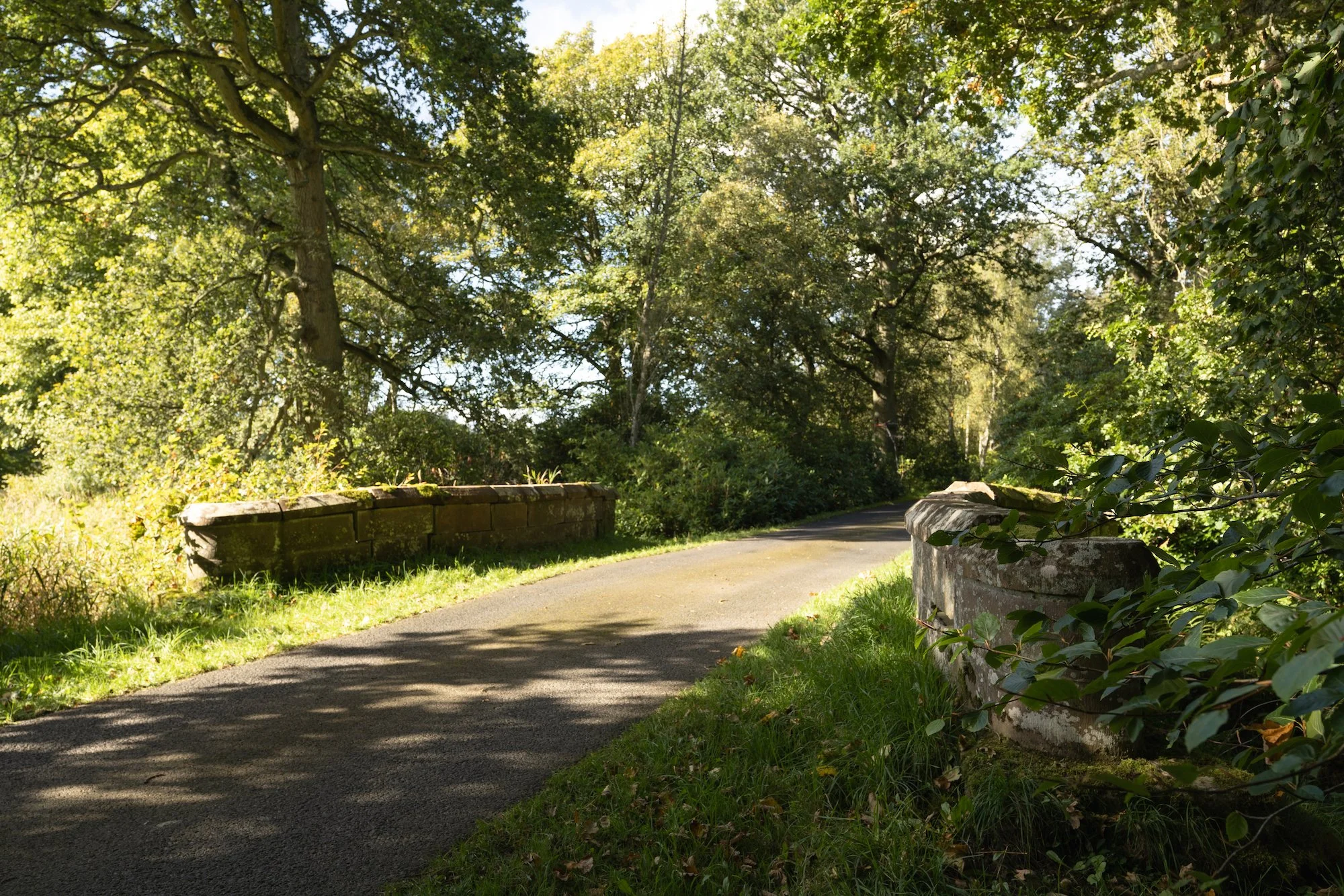 About Dunsinnan Farm & Estate | Our Story & Scottish Heritage