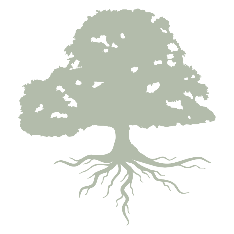 About Us — Tara Getty Foundation