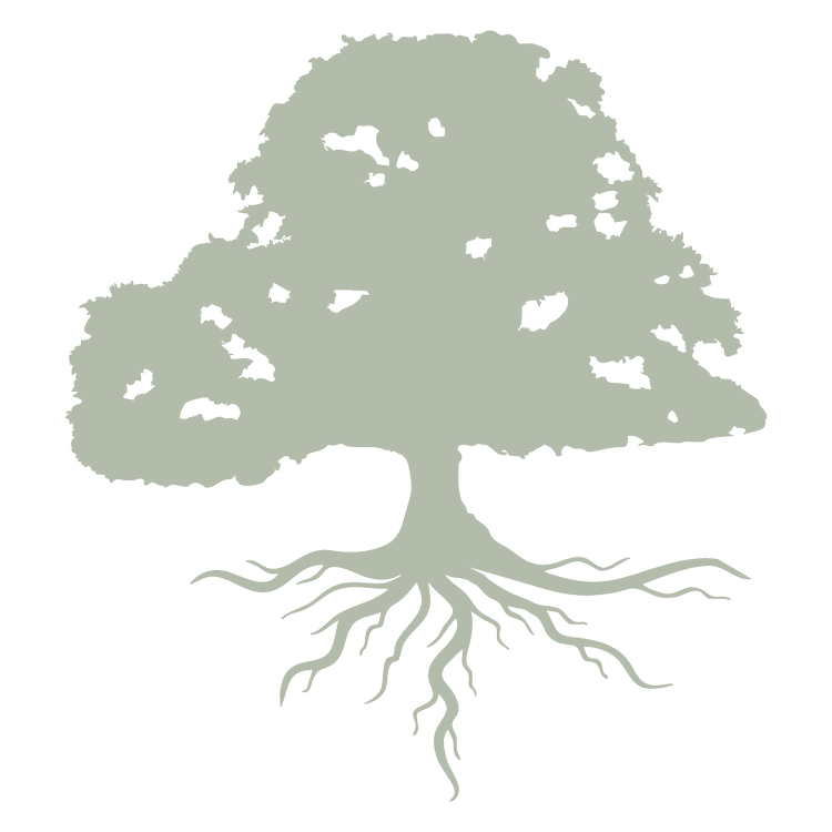 About Us — Tara Getty Foundation