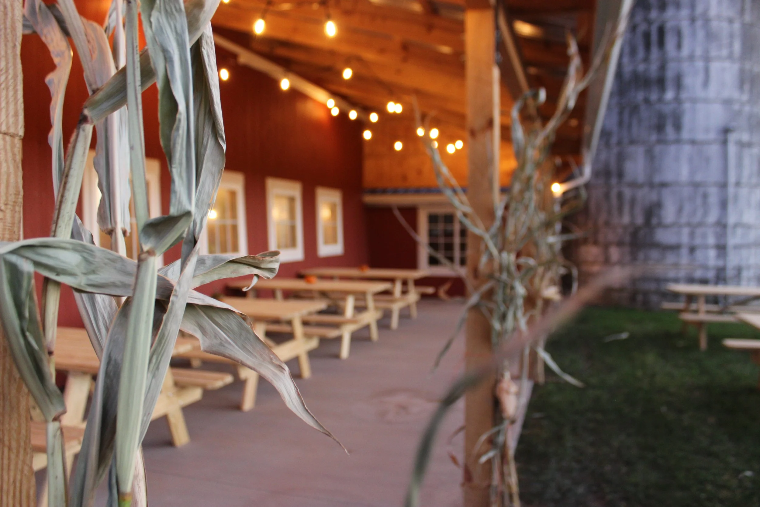 THINGS TO DO | Explore & Unwind Now — Needle Creek Farm Brewery