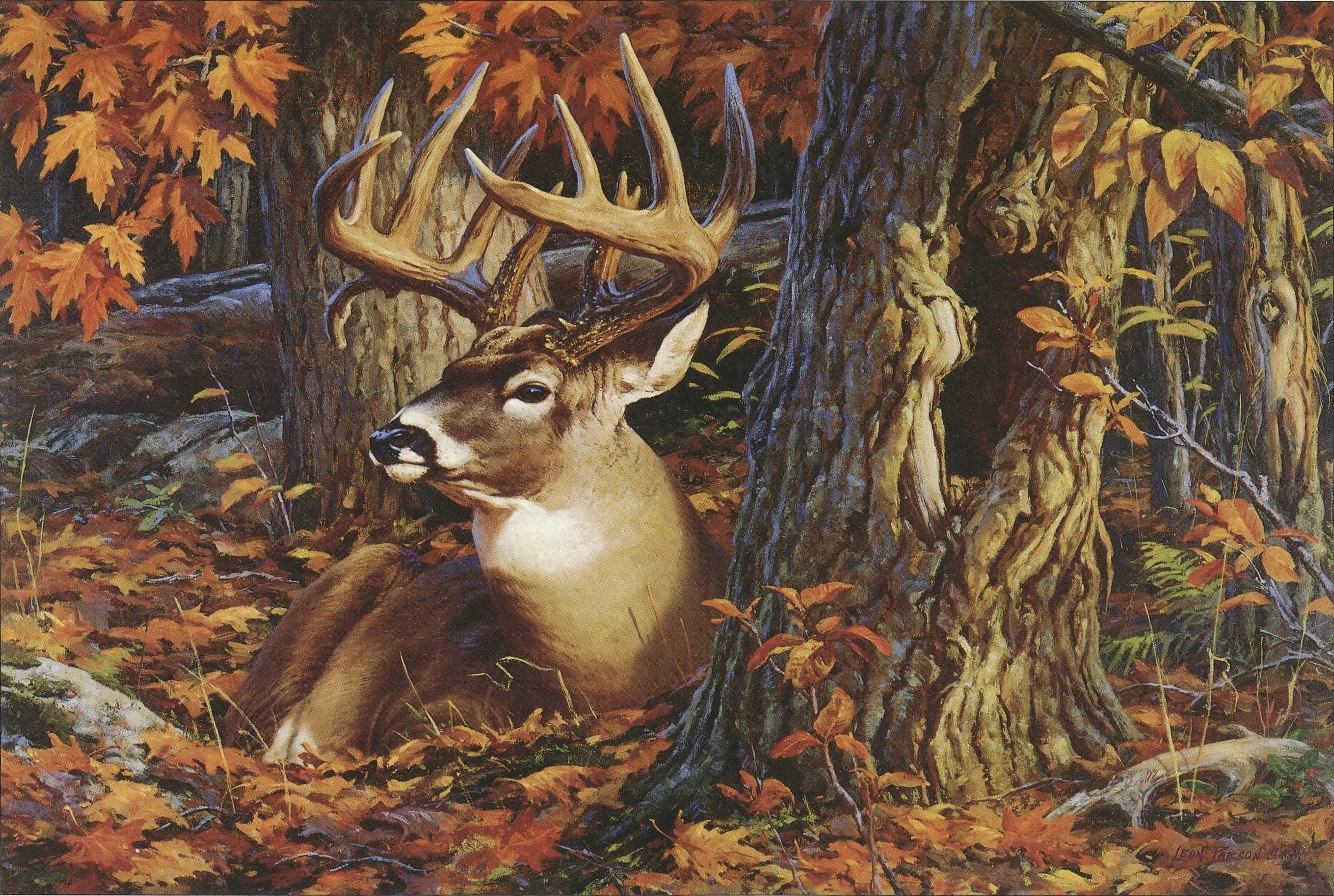 Store — Master Buck Products