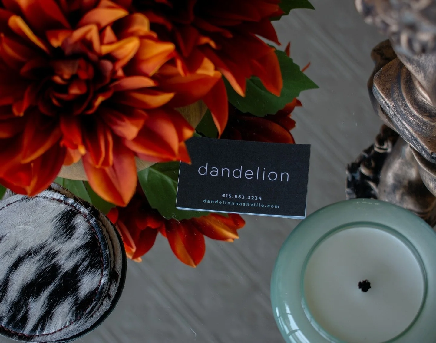 dandelionnashville