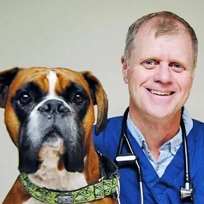 Dr. Paul Robb — Vet Outreach