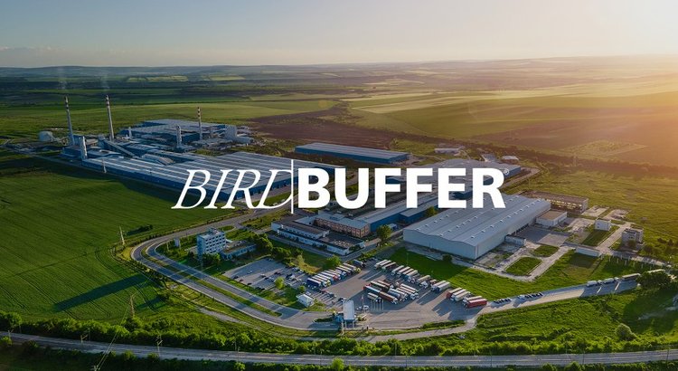 Silver Falls Capital | Impact Starts Here