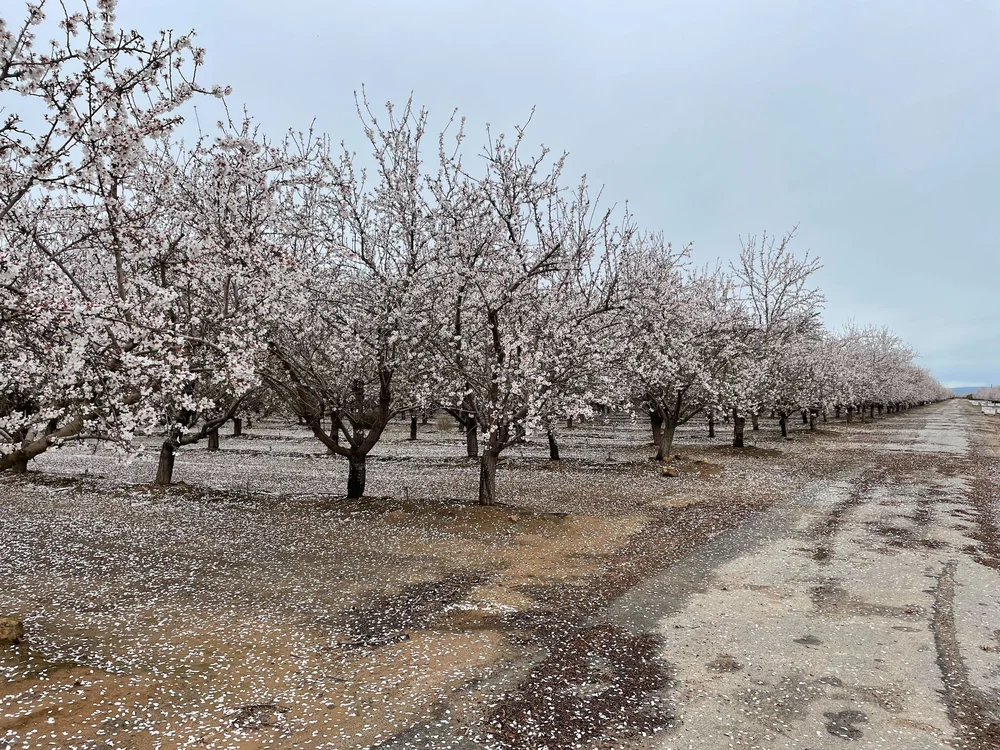 Product — Nitricity