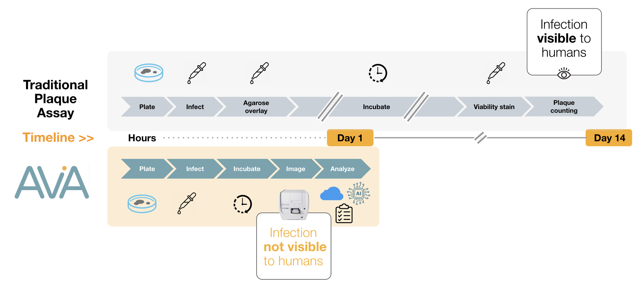 AVIA™ Automated Viral Infectivity Assay — ViQi