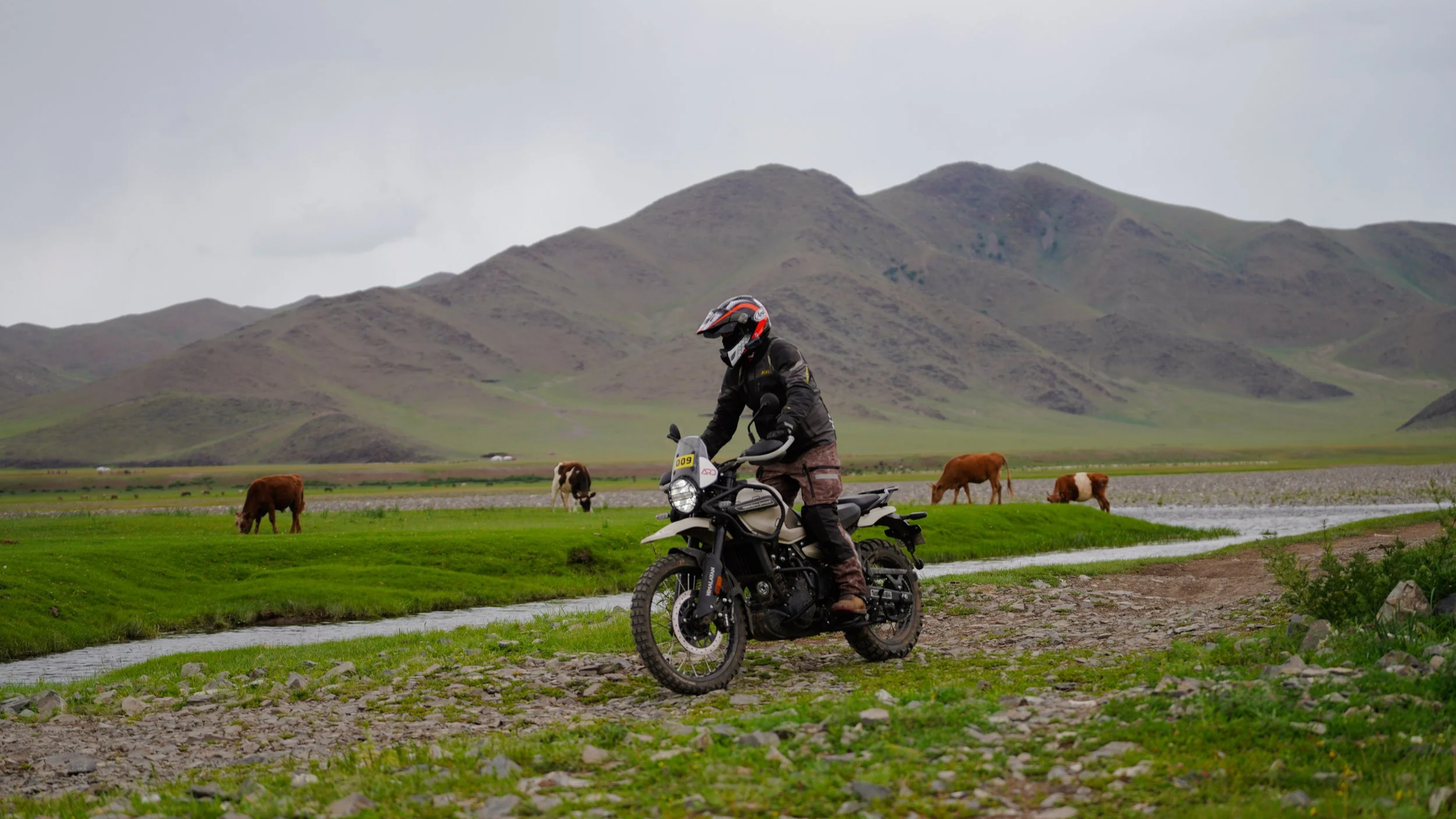 GOBI RAID: Motorcycle tour in Mongolia with Himalayan 450