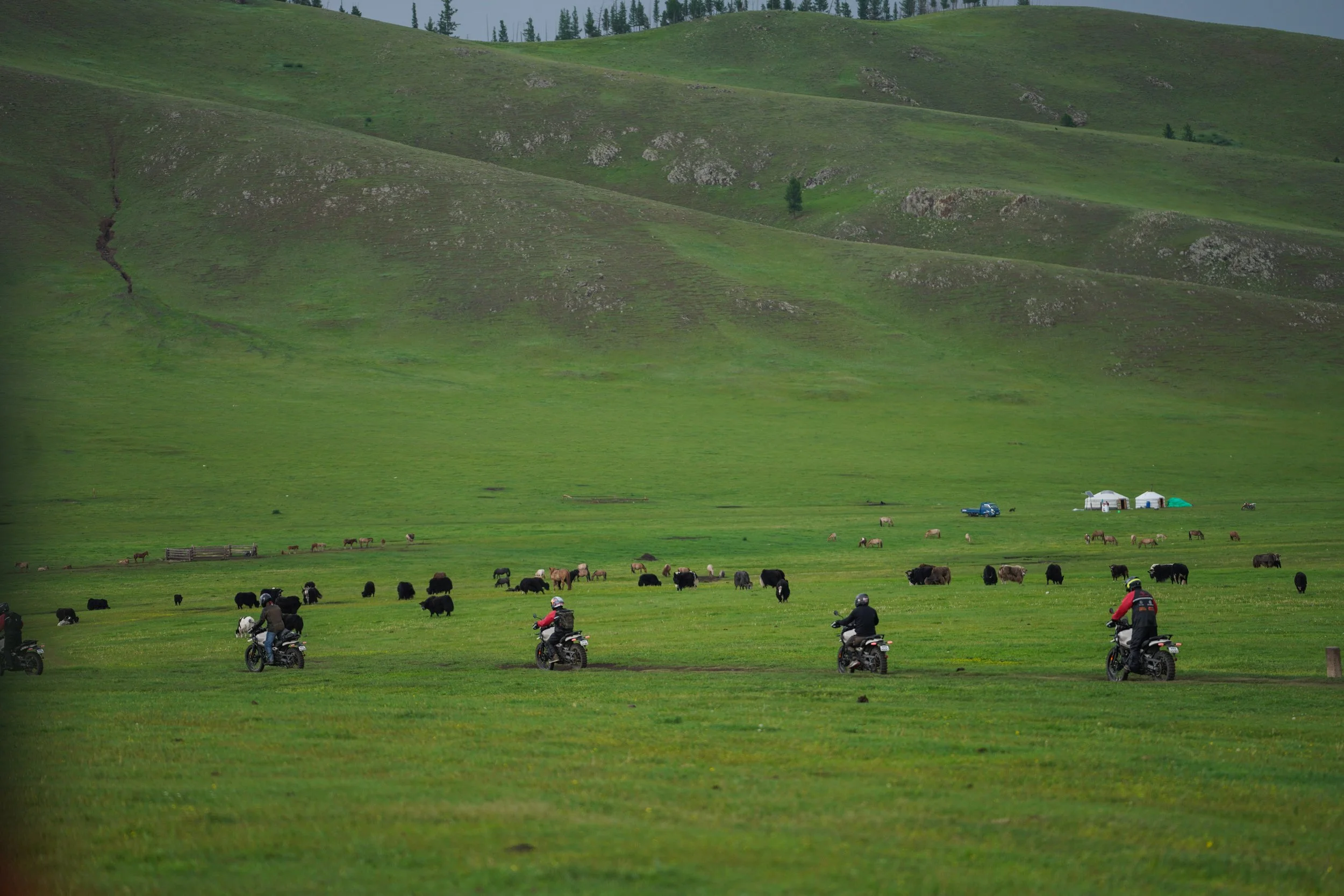 Mongolian Odyssey Tour: Motorcycle Tour Mongolia — GOBI RAID MONGOLIA