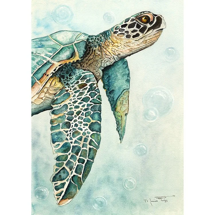 Ridley Beautiful Creatures Drawing