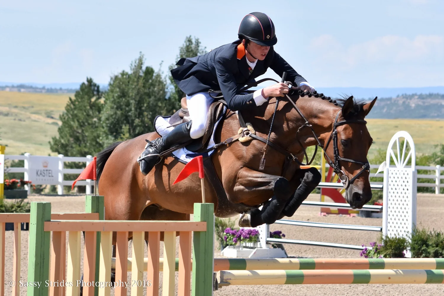 Equestrian Gallery | Windwood Equestrian in Alabama