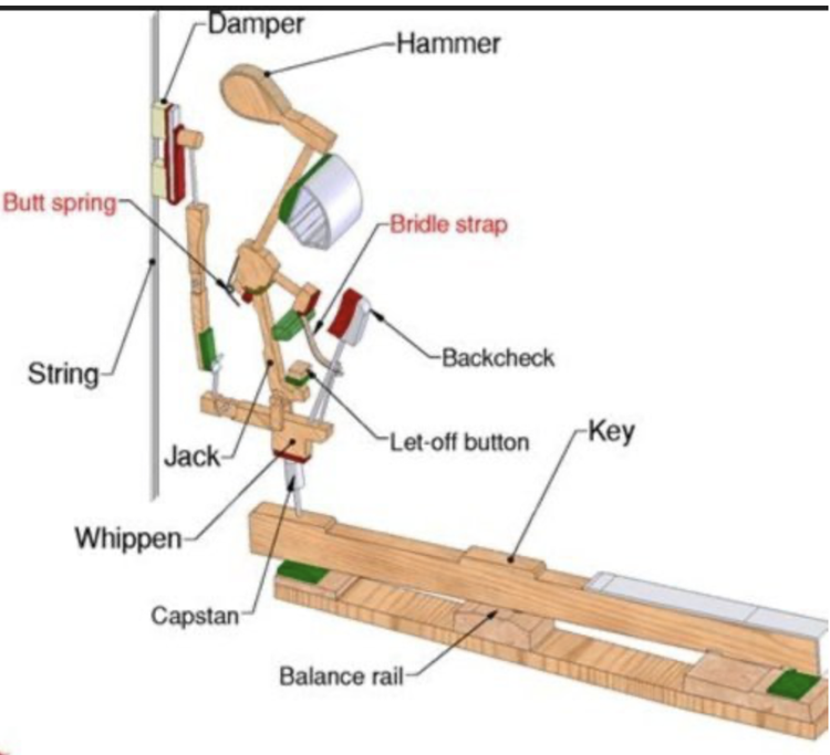 Understanding the Anatomy of a Piano: How It Works — Dark & Rich