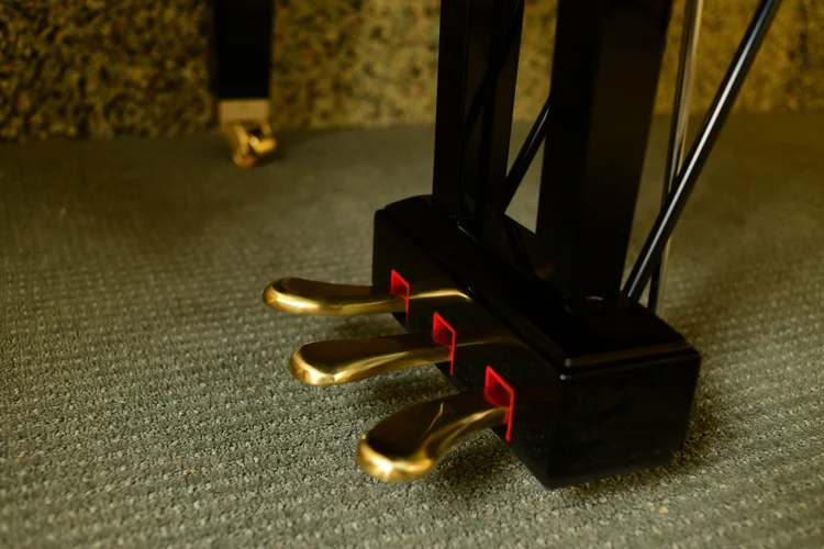 Understanding the Anatomy of a Piano: How It Works — Dark & Rich
